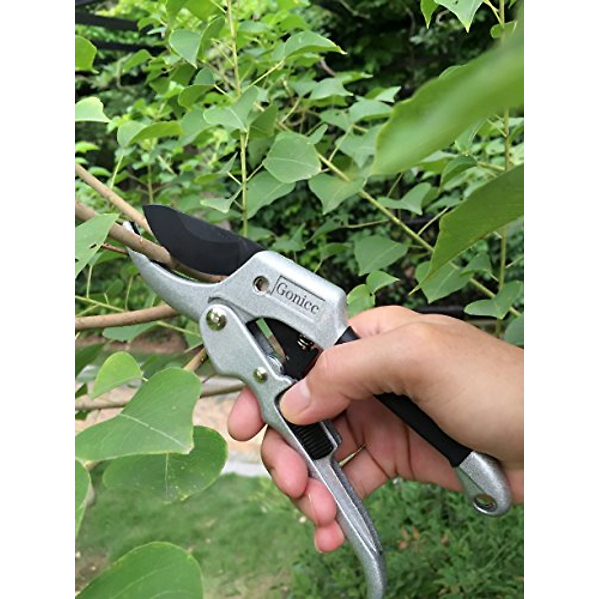gonicc 8" Professional SK-5 Steel Blade Sharp Anvil Pruning Shears (GPPS-1001),Less effort. Pruning Scissors, Bonsai Cutters