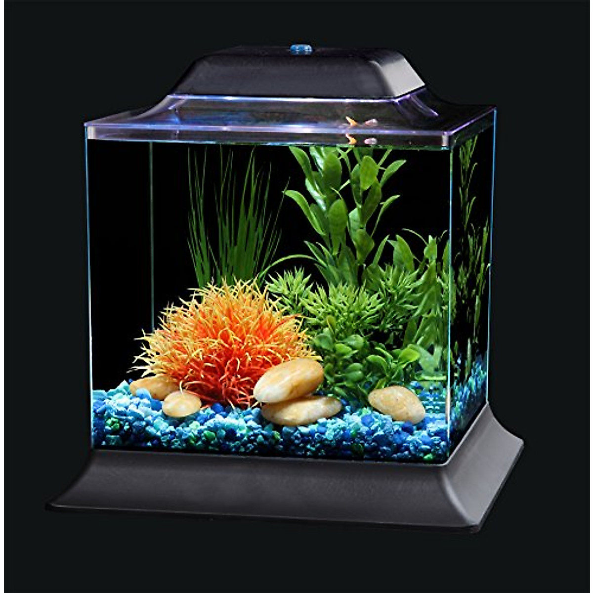 Koller Products 1.5-Gallon AquaScene Aquarium with LED Lighting