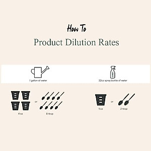 Arber Plant Food | Organic Fertilizer for Indoor & Outdoor Plants | Bloom Boosting Growth | Natural Gardening Solution | Soil Fertility Flowers, Vegetables | Liquid Concentrate | Makes Over 4 Gallons