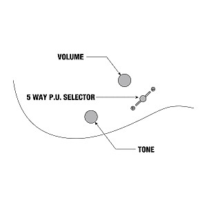 Ibanez RGA42EX Standard Black Aurora Burst Matte