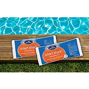 12 Pack BioGuard Smart Shock 1lb Granular Swimming Pool Oxidizer