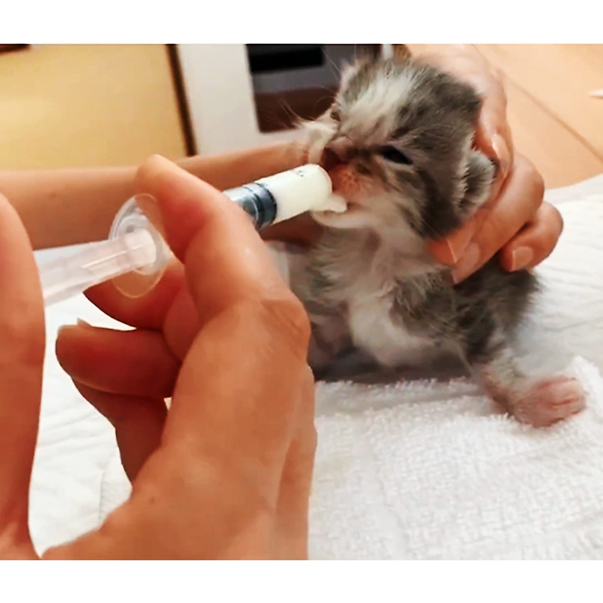 40 Pack 5ML Plastic Syringe Luer Slip with Cap, Great for Measuring, Refilling Watering and Pets Feeding(Not-sterile) (5ML)