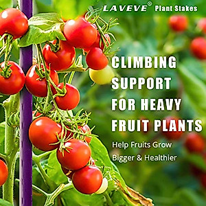 LAVEVE Garden Stakes 48 Inches Heavy Duty Steel Tomato Stakes, Plastic Coated Support Stakes for Securing Trees, Climbing Plants, Cucumber, Beans, Pack of 20
