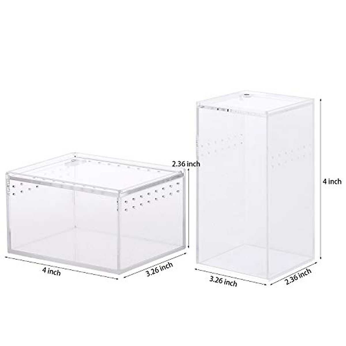 2 Pack Acrylic Reptile Terrarium Insect Tarantula Enclosure Tank Snail Spider Habitat Cage Mini Critter Keeper Insect Carrier Transparent Reptile Isopods Lizards Roach Invertebrates Insect Feeding Box