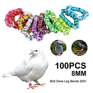 Flameer 100Pcs Chicken Leg Rings - 2021 Aluminium Bird Dove Racing Pigeon Leg Rings Bands,Bird Leg Bands Numbered for Pigeon Parrot Chicks Duck Lovebirds Supplies - Multicolor