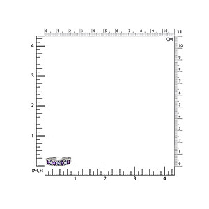 Silvershake Genuine Tanzanite and African Amethyst White Gold Plated 925 Sterling Silver Journey Ring Size 8