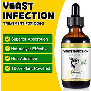 Dog Yeast Infection Treatment, 4 Fl Oz Natural Yeast Infection Treatment for Dogs Supports Dog Skin Itch Relief, Dog Ear Infection & Allergy Relief, Pet Supplies Dog Ear Care, Bacon Flavor - 2 x 60ml