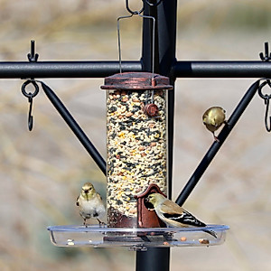 Backyard Essentials Plastic Bird Seed Tray Add-on Accessory - Compatible ONLY with Backyard Essentials Tube Bird Feeders - Screw-On Catcher Tray and Perch