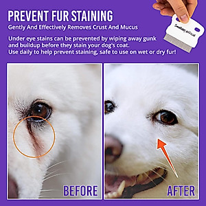 Tear Stain Remover - Fine Tooth Metal Comb to Clean Dogs Eye Boogers - Steel Pet Cleaner and Grooming Accessories - Care for Small Dog Breeds like Shih Tzu, Poodle, Yorkie, Goldendoodle and More