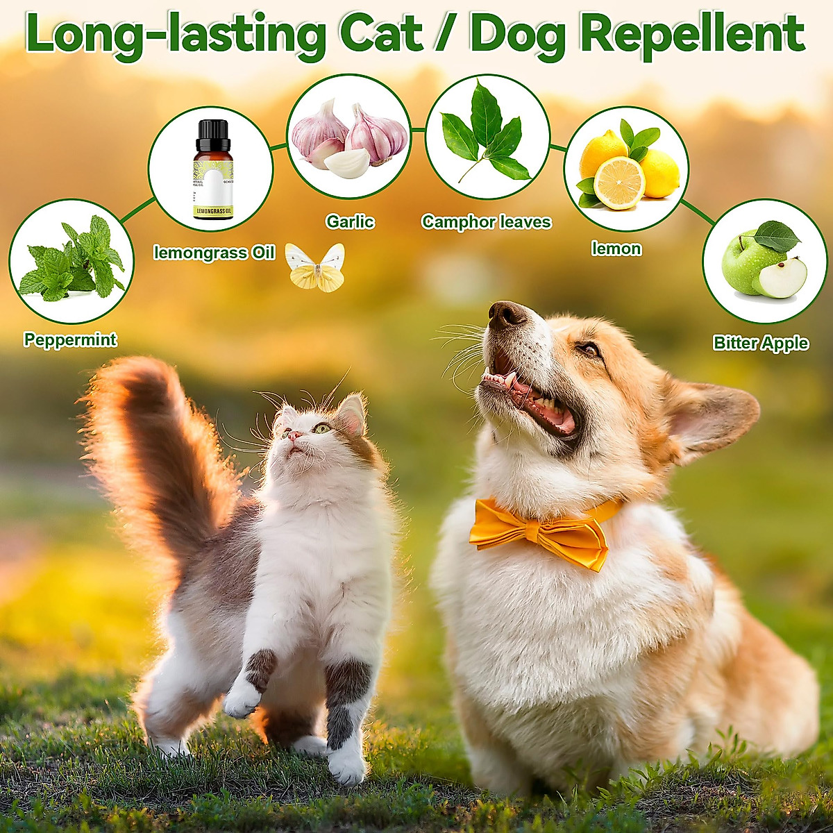 12 Pack Cat and Dog Repellent Balls - Natural Peppermint Oil Cat Deterrent for Indoor/Outdoor Use, Keeps Stray Cats Digging Dogs Away from Yard, Lawn, Garden, and Furniture - Safe for Pets and Family