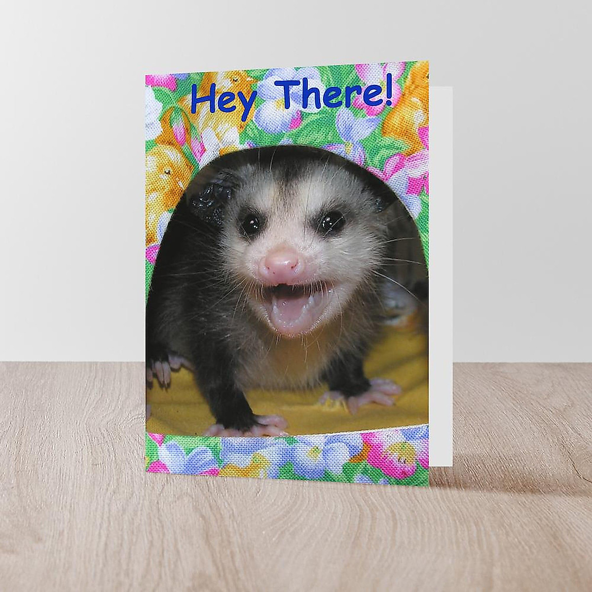 CafePress Possum/Opossum Birthday Card Folded Greeting Card Matte