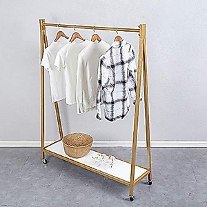OLDRAINBOW Clothing Racks with Wood Shelves 59in,Retail Rolling Display Rack with Wheels,Commercial Clothes Racks for Hanging Clothes,Metal Garment Rack(Gold)