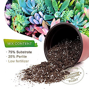 Organic Potting Soil, Cactus and Succulent Soil Mix, Professional Grower Mix Soil, Fast Draining Pre-Mixed Coarse Blend (8 Quarts)