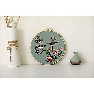 Anidaroel 3 Sets Embroidery Starters Kit for Beginners, Cross Stitch Kits for Adults Include 3 Embroidery Cloth with Birds Pattern, 1 Embroidery Hoop, Color Threads and Needles