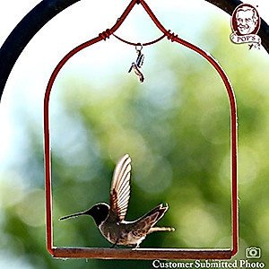 POP'S Birding, The Original Charm Hummingbird Swing for Outdoors - Perfect Bird Perch for Small Birds - Sturdy Steel Metal Swing Set with Hook Included