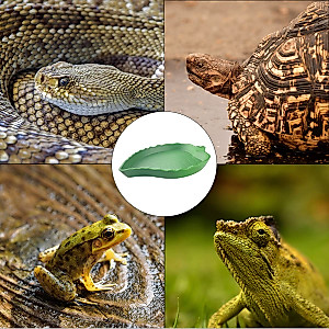 3 PCS Tortoise Food Dish with Ramp and Tortoise Water Bowl,Gray Reptile Water Bowl,Reptile Water Dish Amphibians Habitat,Reptile Water Bowl for Turtles,Horned Frogs and Lizards