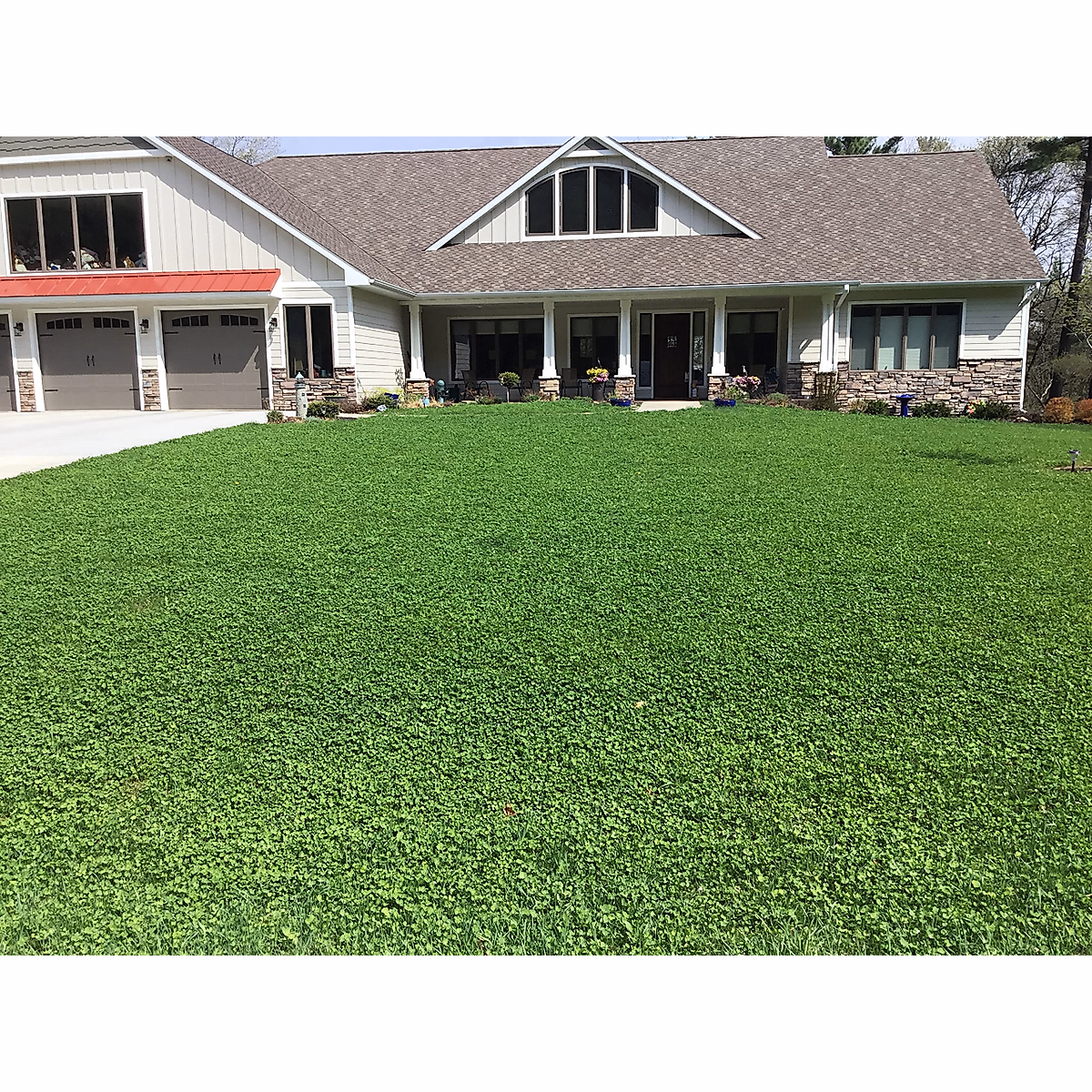 Flawn Seed Kits Micro Clover Seed, Organic Coated, Eco-Friendly, Low Growing, Low Maintenance, Lawn Alternative, Compostable Pouch, Over-Seed up to 500 sqft