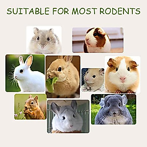 Hamiledyi Rabbit Chew Toys,Timothy Hay Ball Natural Flower Flavored Bunny Chew Treats Molar Snacks for Guinea Pig Chinchilla Gerbil Squirrel Teeth Grinding(34 Pcs)