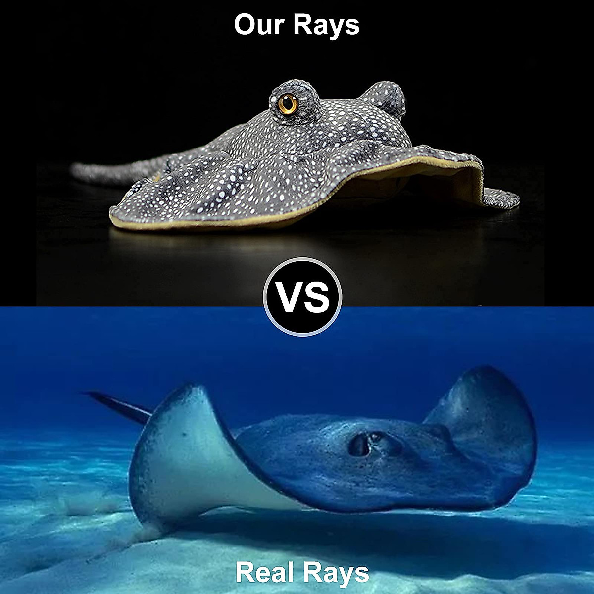 ZHONGXIN MADE Simulation Stingray Fish Plush Toys Stuffed Animal - 20 inch Manta Ray Bass Leopard Stingray Fish Deep Sea Toy, Cute Skate Fish Toy as Gift for Kids