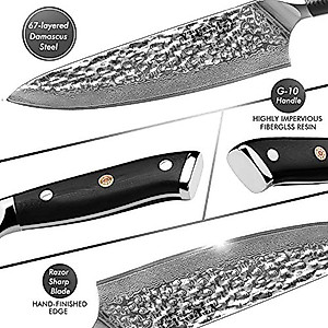 Damascus Kitchen Knife, 8 Inch Japanese Chefs Knife VG 10 Damascus Steel Knife High Carbon 67-Layer Chopping Knife, Meat Sushi Fruit Vegetable Cutting Gyuto Knife with Ergonomic G10 Handle