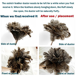 Genuine Ostrich Feather Duster Fluffy Natural with Wooden Handle and Eco-Friendly Reusable Handheld Cleaning Supplies, Gray and Brown(Length 16")