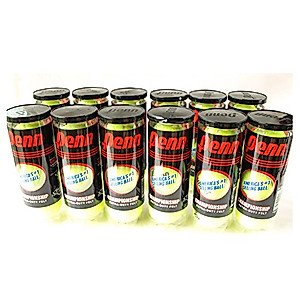 Penn Championship (20 Cans, 60 Balls Total Regular Duty Felt)