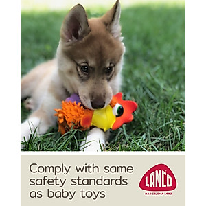 Puppy Toys - Squeaky Dog Toy - Natural Rubber Latex - Sensory Dog Toy - 5" Tall - Medium Breeds & Puppies - Complies with Same Safety Standards as Baby Toys