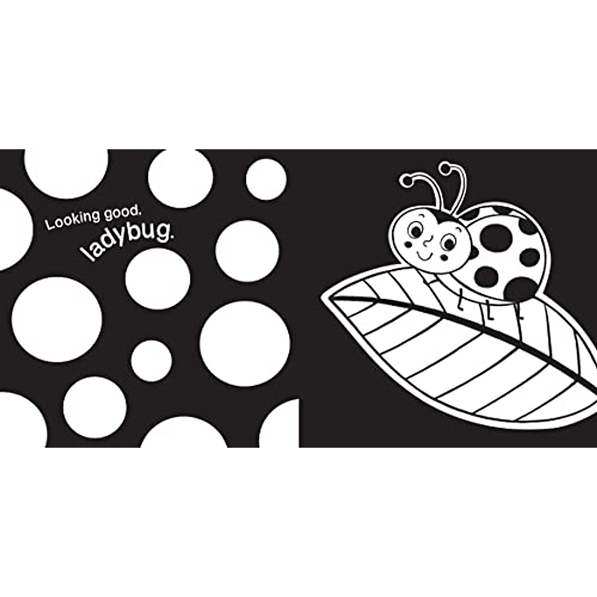 Hello, Garden Bugs: A High-Contrast Board Book that Helps Visual Development in Newborns and Babies (High-Contrast Books)