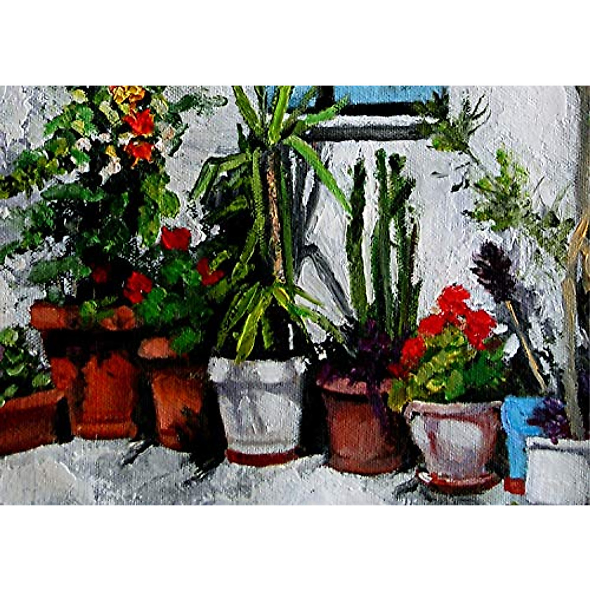 La Ventana Azul, Villa Courtyard Flwer Pots By Internationally Renowned Artist Yary Dluhos