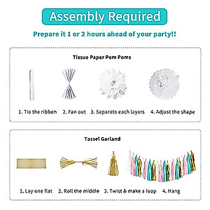 ANSOMO Teal Blue and Pink Happy Birthday Party Decorations White Blush Gold Gender Neutral Décor Supplies Balloons for Girls Women Teens Kids