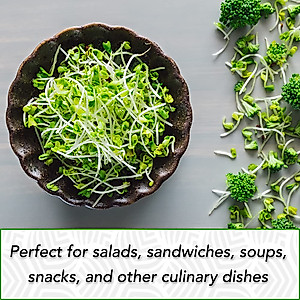 1 lb Broccoli Sprouting Seeds - Perfect for Sprouting & Microgreens, Rich in Sulforaphane, USA Grown (Resealable Bag)