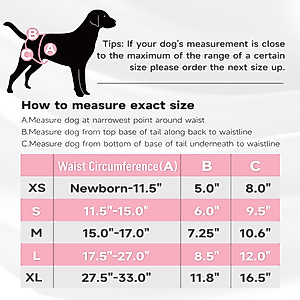 Paw Legend Washable Reusable Female Dog Period Diapers for Heat Doggie Puppy Diapers for Female Dogs (3 Pack, Leopard, X-Small)