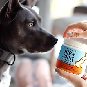 Petaxin Glucosamine for Dogs and Probiotics for Dogs