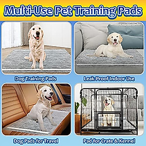 Dogcator Charcoal Training Pads 100 Count, 22"x22" Puppy Pads for Small Dogs, Activated Carbon Dog Pee Pads, Disposable Puppy Pads Pet Training Pads