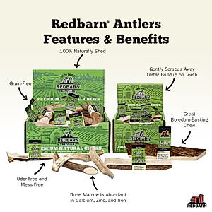 Redbarn Half Elk Antler Small/Medium for Dogs (Case of 12 Antlers)