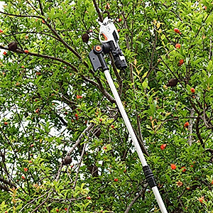 LIGO Electric Pruning Shears For Garden Cordless Rechargeable Power Pruner, Tree Branch Flowering Bushes Trimmers With Safety Protection,MAX 25mm(0.98 Inch) Cutting Diameter (Pruner w/Pole Extension)