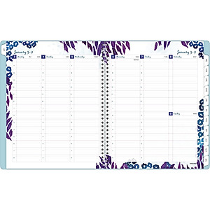2022 Weekly & Monthly Appointment Book & Planner by AT-A-GLANCE, 8-1/2" x 11", Large, Wild Washes Teal (523-905)