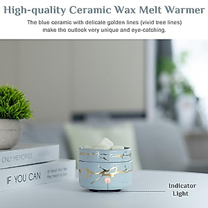 Bobolyn Wax Melt Candle Warmer Burner - Ceramic Essential Oil Burner Warmer Electric Scented Fragrance Candle Wax Melter Warmer for Home Office Bedroom Living Room Decor