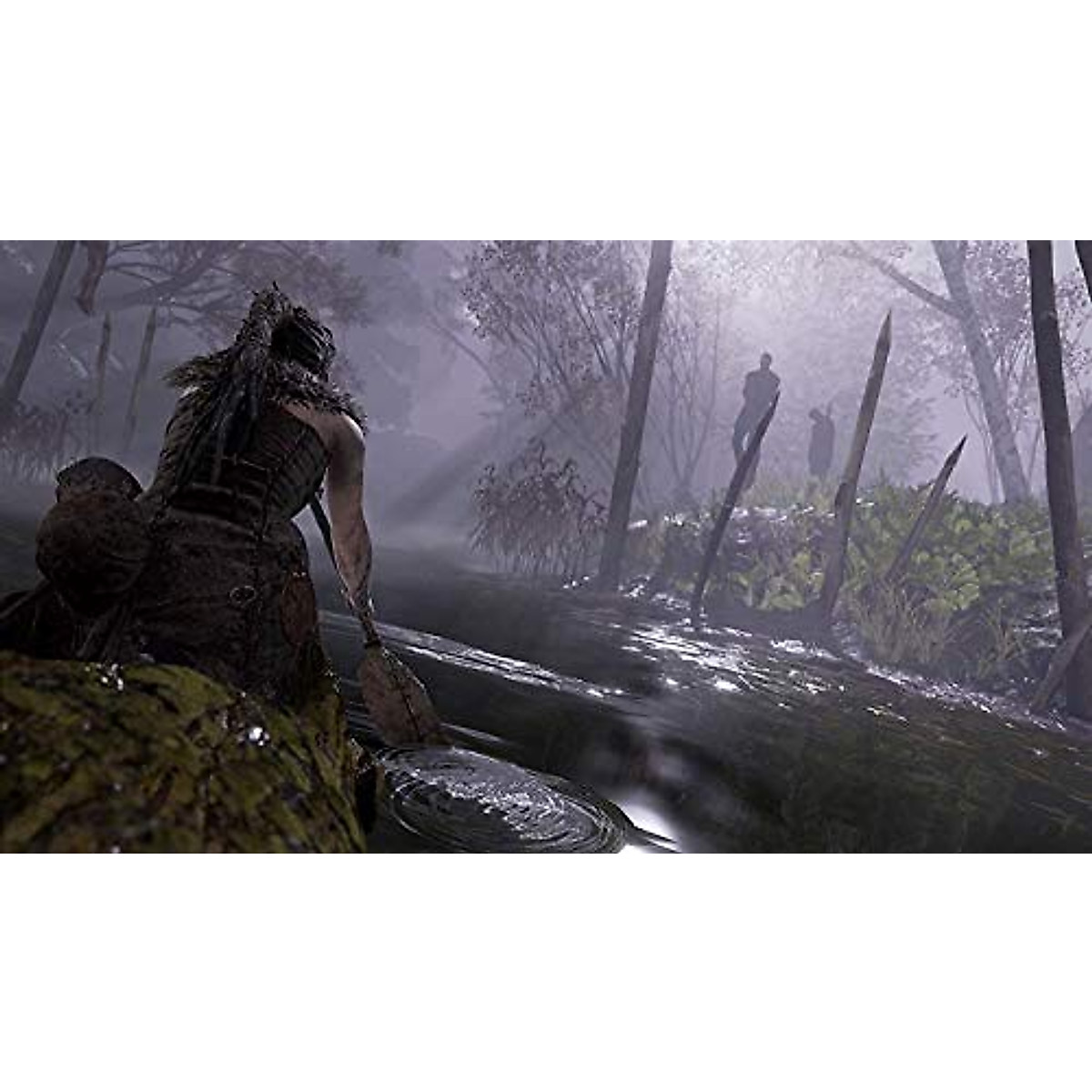 Hellblade: Senua's Sacrifice - PlayStation 4