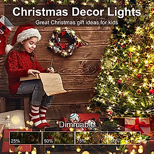 ECOWHO Christmas String Lights Outdoor, 66ft 200 LED Battery Operated Warm White Fairy Twinkle Lights Indoor with Remote, IP65 Waterproof, 8 Lighting Modes for Xmas Tree Garden Holiday Bedroom Decor