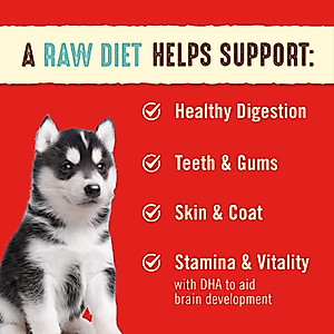 Stella & Chewy's Freeze Dried Raw Dinner Patties – 14 oz Bag & Freeze Dried Raw Dinner Patties – Grain Free Dog Food, Protein Rich Surf ‘N Turf Salmon & Beef Recipe – 14 oz Bag