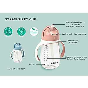 Beaba Straw Sippy Cup, Sippy Cup with Removable Handles, Sippy Cup with Straw, Baby Straw Cup, Toddler Cup, Toddler Straw Cups, 8+ months, 10 oz, Rose