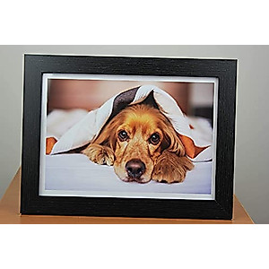 PPD Inkjet Glossy Photo Paper LTR 8.5x11" 49lbs 180gsm 9.9mil x 50 Sheets (PPD024-50)