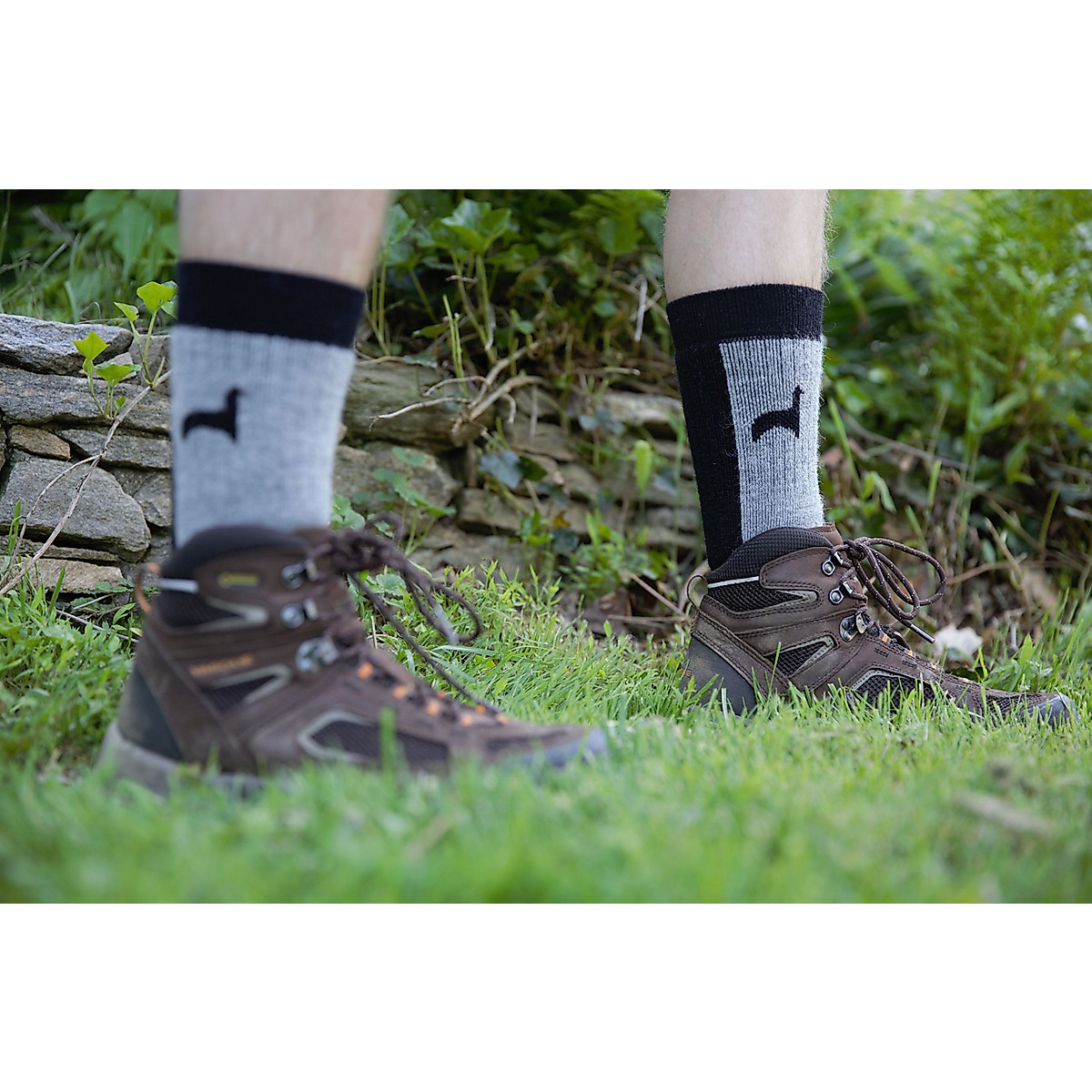 Peruvian Link Alpaca Hiking Socks Treated With Aloe Vera (Black/Silver, Large)