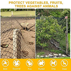 Garden Netting-6ft x 75ft Bird Netting for Garden, Heavy Duty Mesh Reusable Garden Net Protect Fruits Trees Plants Vegetable,Trellis Netting Pond Netting for Birds, Deer, Squirrels, Animals, Black
