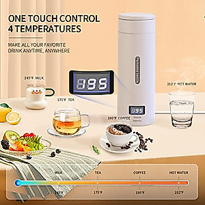 Travel Electric Kettle Small Portable Tea Coffee Kettle Hot Water Boiler, Haspsso Mini Water Kettle 304 Stainless Steel with 1 Handy Cup Bag, 4 Temperature Control, Auto Shut Off & Boil Dry Protection