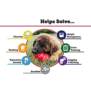 Kong Classic Dog Toy, Small - 2 Pack