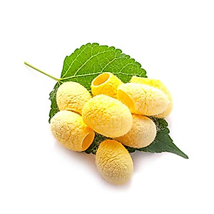 Ecosilky 3-Pack Organic Washcloth, 100% Raw Mulberry Silk, Natural, No Dyeing, Free-Chemical, Soft Face Towel , Fast Drying, Extra Absorbent,13" x 13"