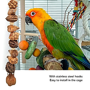Zerodis Bird Parakeets Chewing Toy Bird Chew Toys Grinding Parakeets Toys Mouth Bite Resistance Logs Nuts Hanging Parakeets Chew Toys for Parakeets Macaws Budgies Bird Toys for Parakeetss
