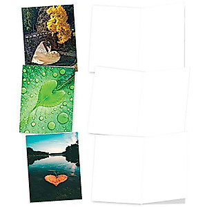 The Best Card Company - 10 Blank Heart Note Cards Boxed (4 x 5.12 Inch) - All Occasion Heartfelt Love Card Assortment - Heartscapes AM6838OCB-B1x10